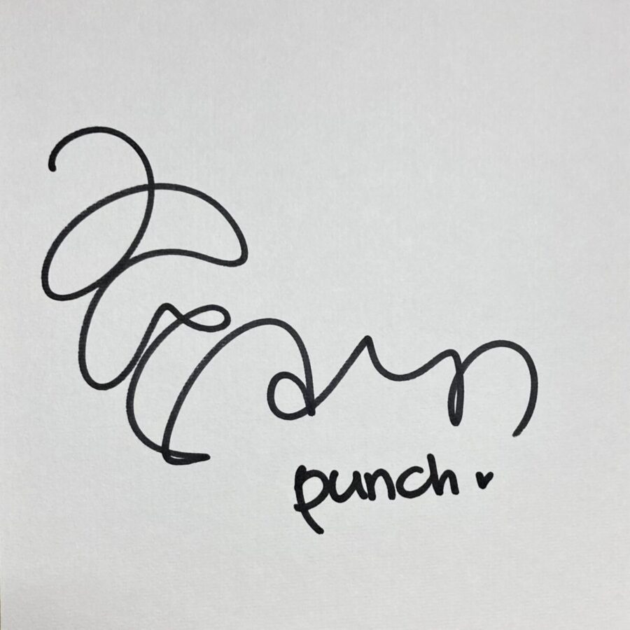 韓国ドラマOST 歌手【Punch（パンチ）】プロフィール＆曲一覧 | 韓国ブログと犬