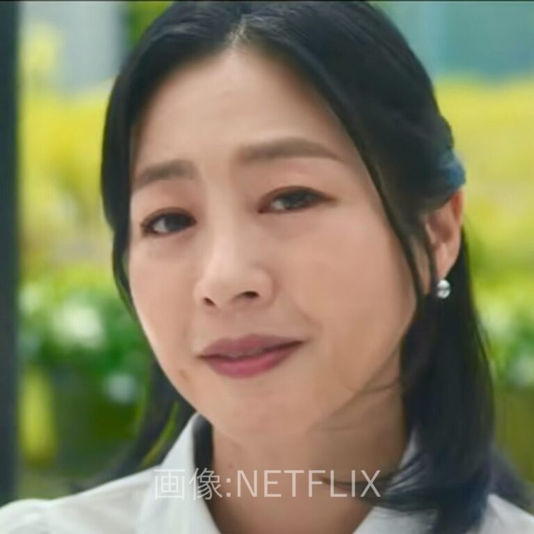 韓国ドラマ『ヒエラルキー』あらすじ・キャスト・相関図｜Netflix | 韓国ブログと犬